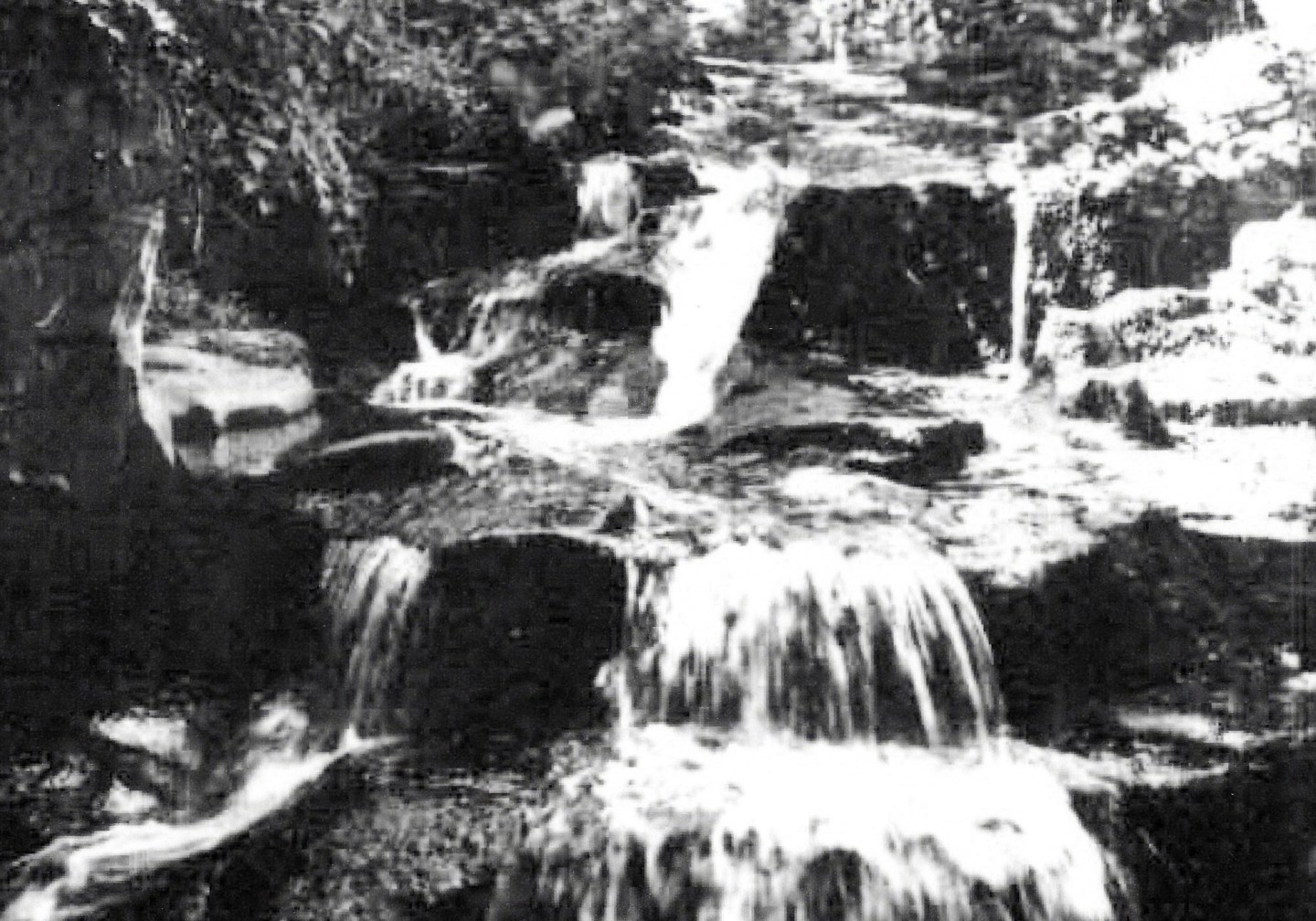 Cottingley Fairies – Cottingley Village History Society